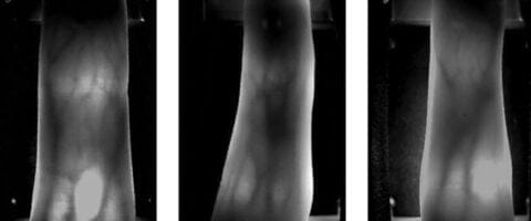 5 common biometric techniques | Recogtech