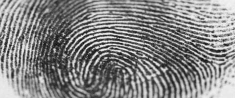 5 common biometric techniques | Recogtech