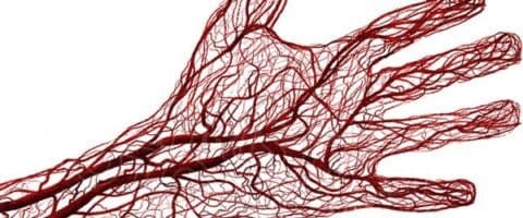 5 common biometric techniques | Recogtech