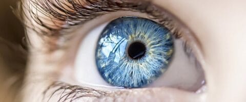 5 common biometric techniques | Recogtech